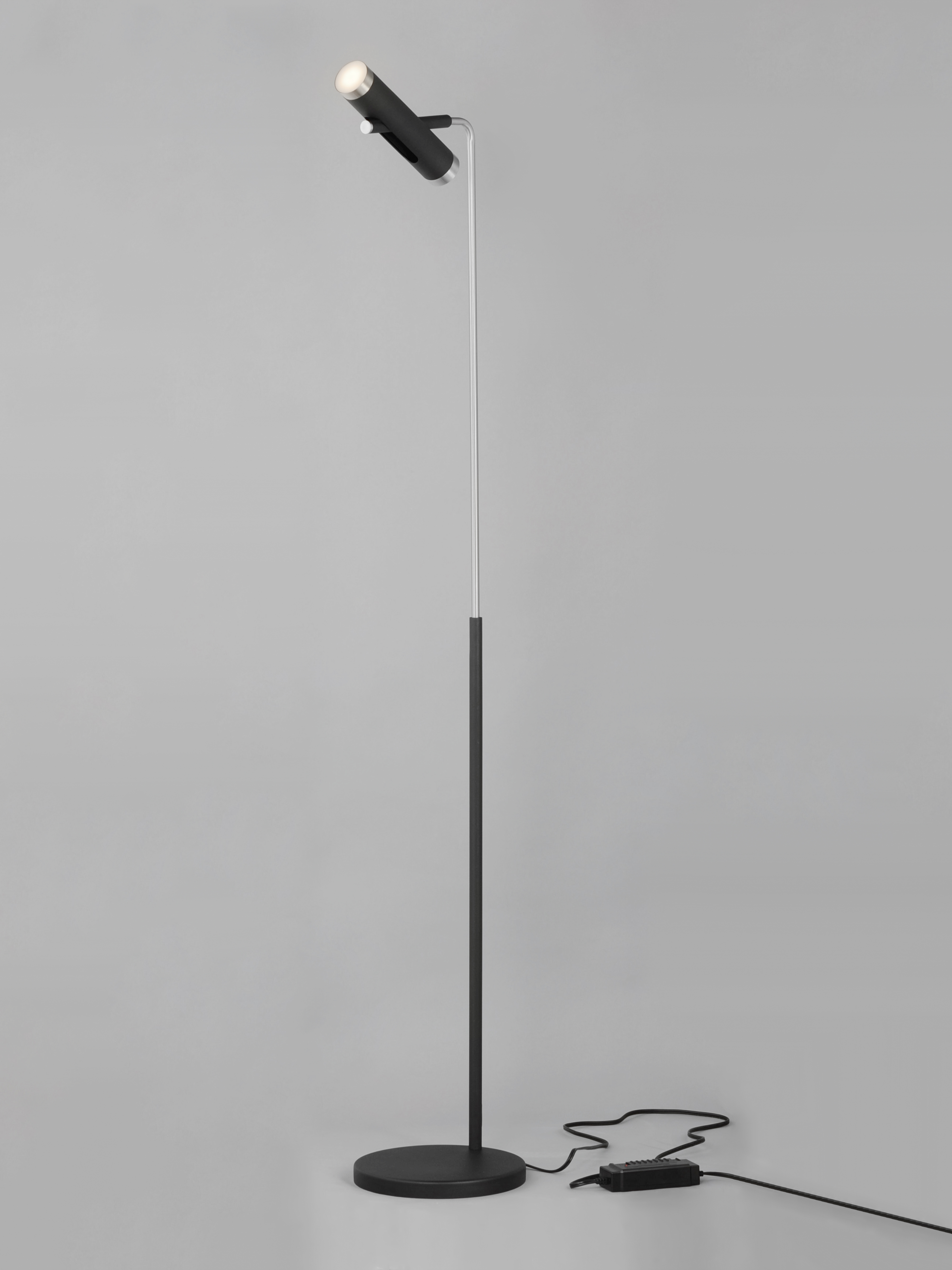 Ambit LED 2-Light Floor Lamp - Floor Lamp - Maxim Lighting
