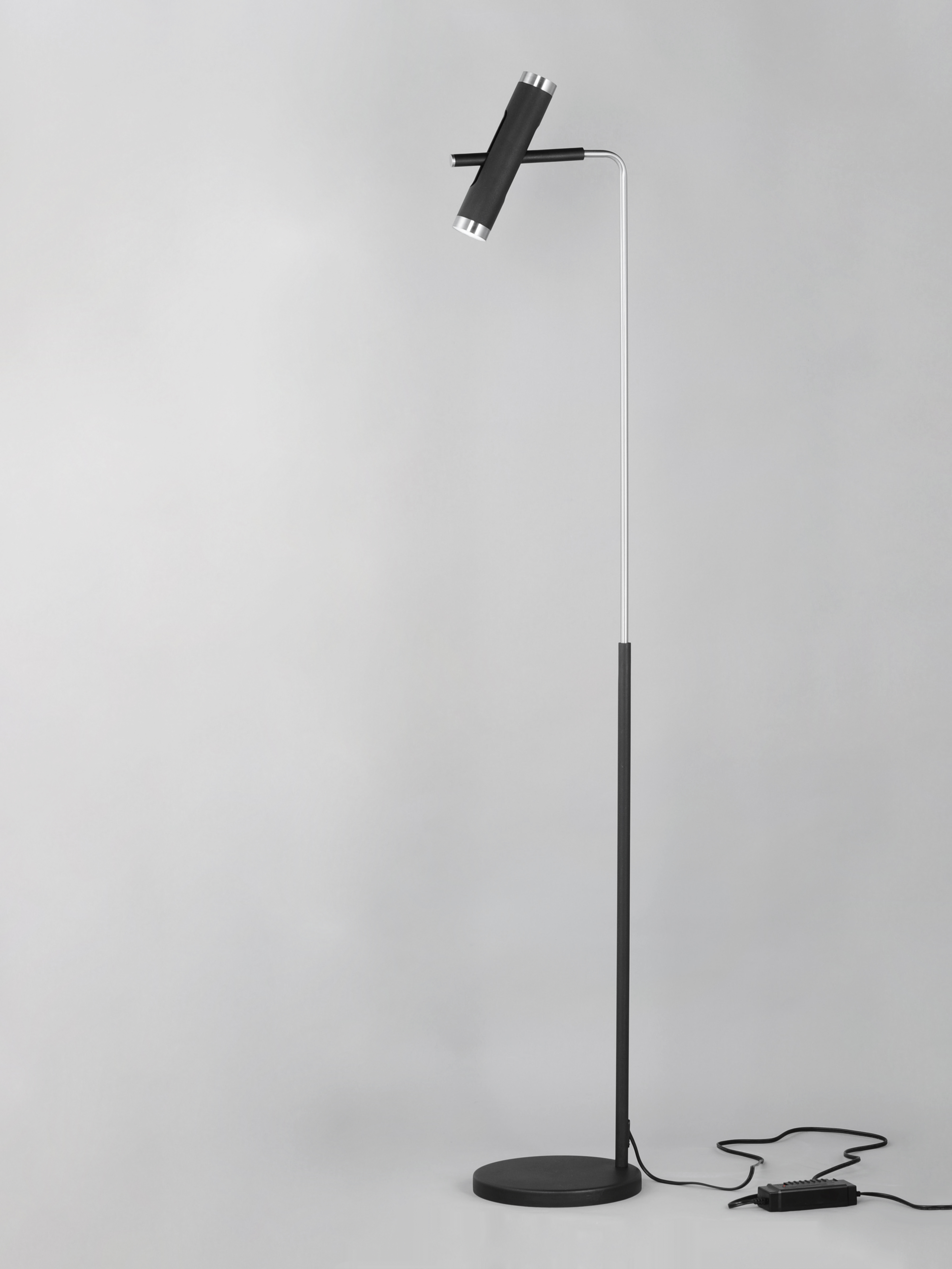 Ambit LED 2-Light Floor Lamp - Floor Lamp - Maxim Lighting